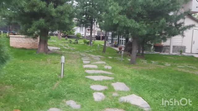 Погода 28 мая. Опять пришло похолодание в Сибирь. Как выглядят ели и кедры.