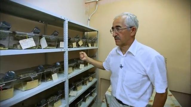 Время внутри нас. Биологические часы _ Основной элемент