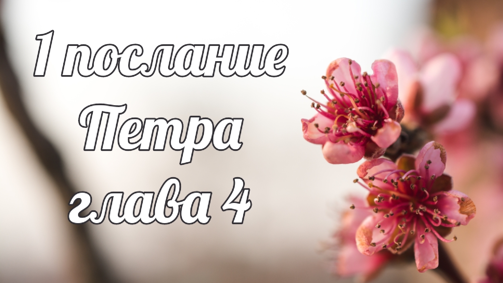 1 послание апостола Петра глава 4