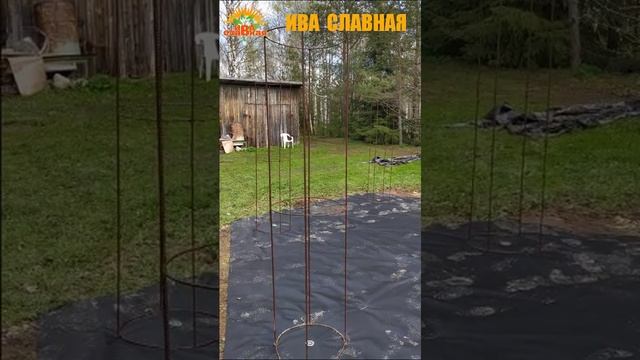 🌿 Плетёная беседка. Промежуточные итоги (04.05.2025)