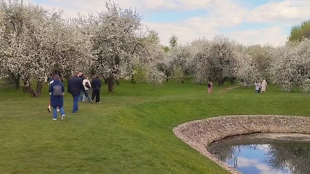 11.05.2025 ВОСКРЕСНАЯ СКАЗКА - ПРИГЛАШАЕМ ВСЕХ ЖЕЛАЮЩИХ!