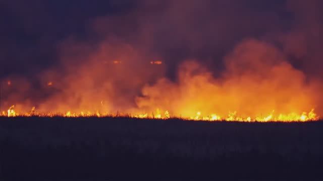 Европейские наемники эпохи краха бронзового века