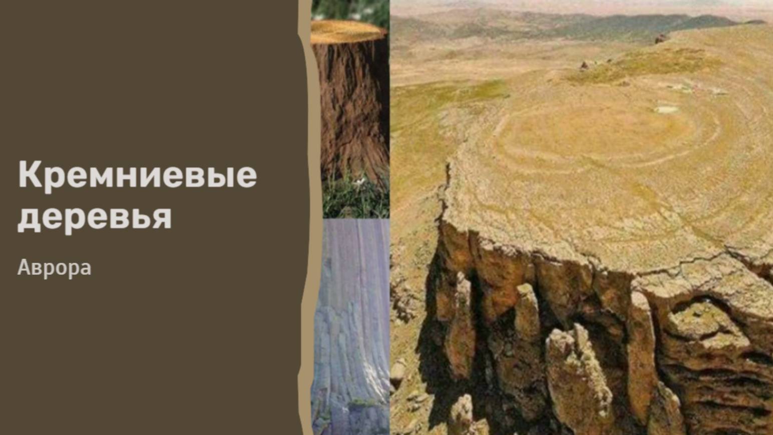 Кремниевые деревья