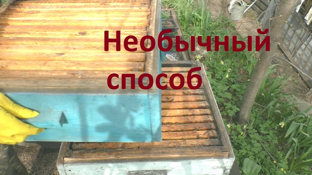 Весной гнезда пчел расширяю магазинами