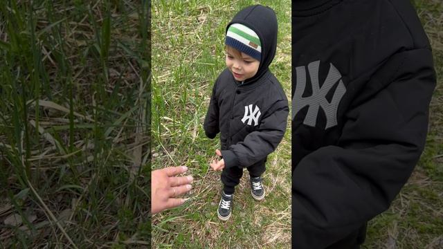 На Протяжке с внуком Часть 2. Вадюша - любитель муравьев. Саров. 08.05.25