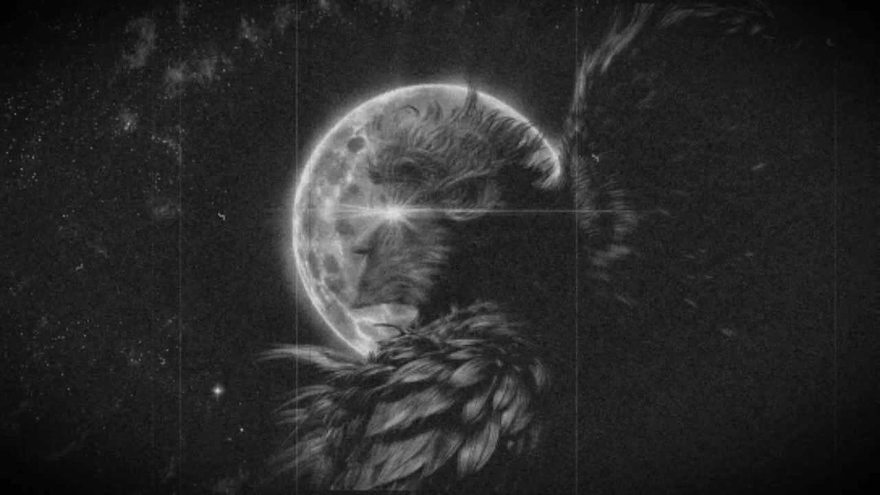 Кубок Джона Дауна 2025 (3)