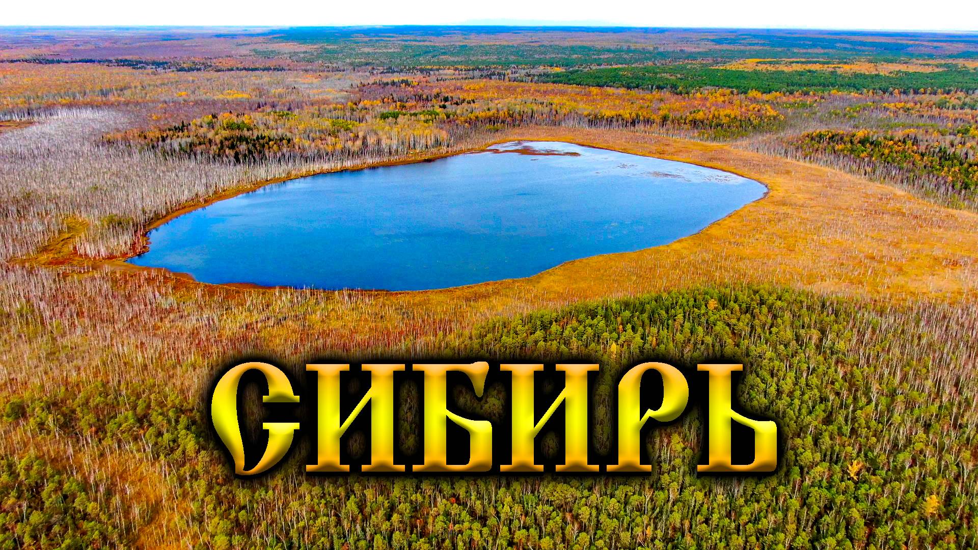 448. Полёт к мистическому озеру. Осенние краски Западной Сибири. Озеро Шайтан. Деревня Окунево.