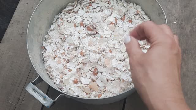 Как борюсь со слизнями в теплице. Без химии.