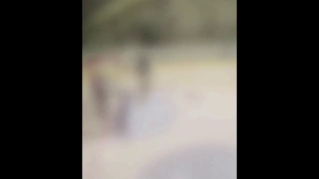 Комплексная тренировка с BlazePod