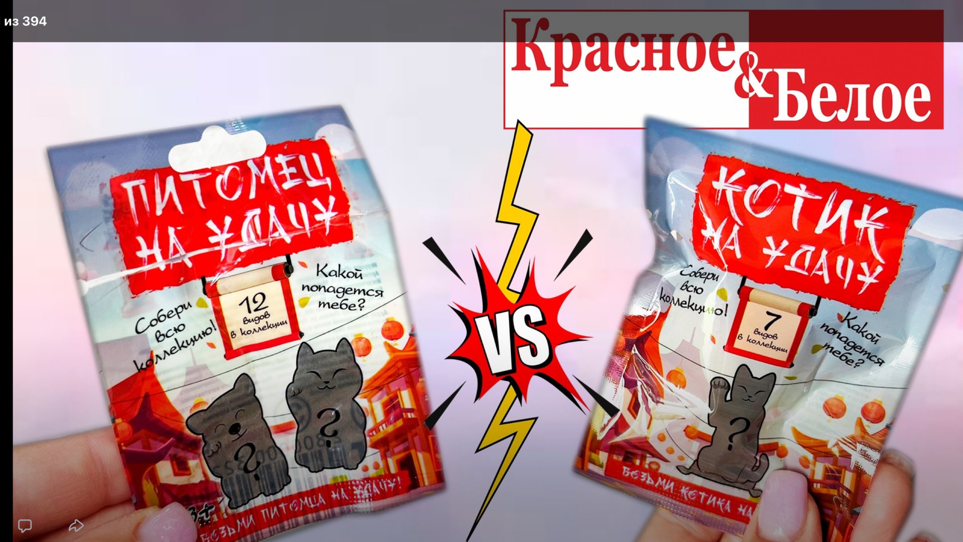 💥Битва💥 КОТИК на УДАЧУ против ПИТОМЦА на УДАЧУ из Красного белого💥