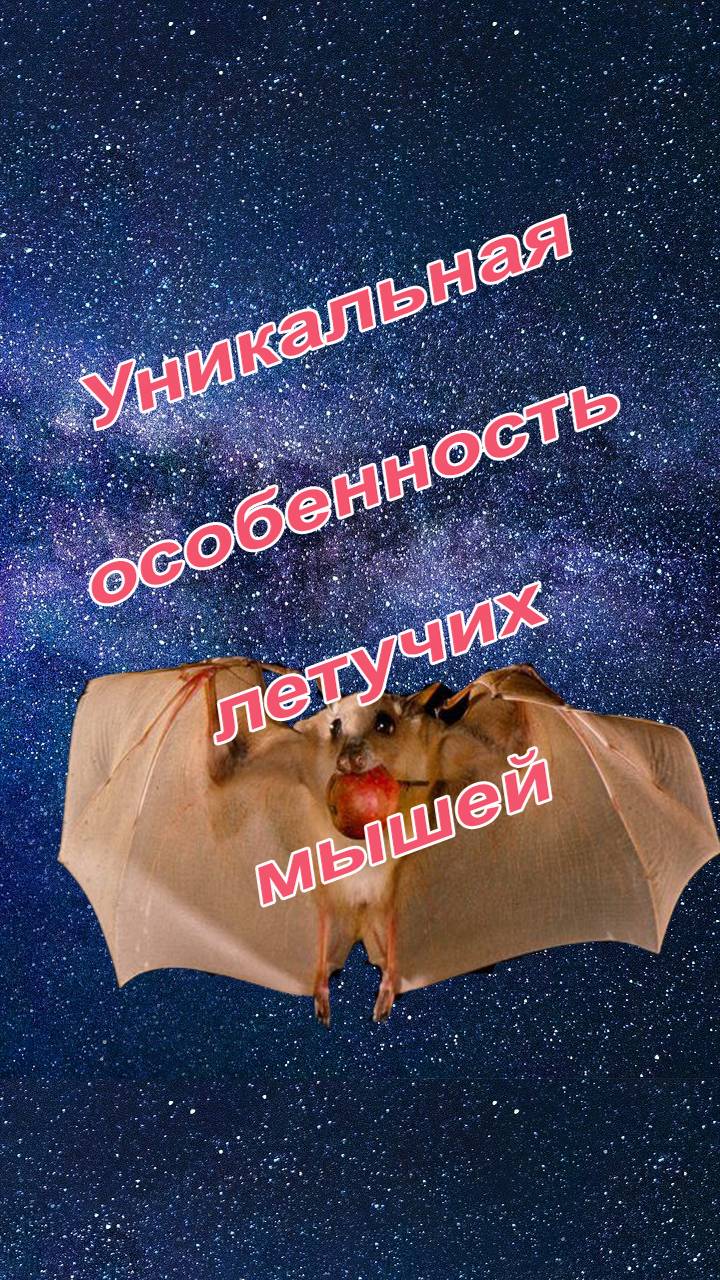 Уникальная особенность фруктоядных летучих мышей