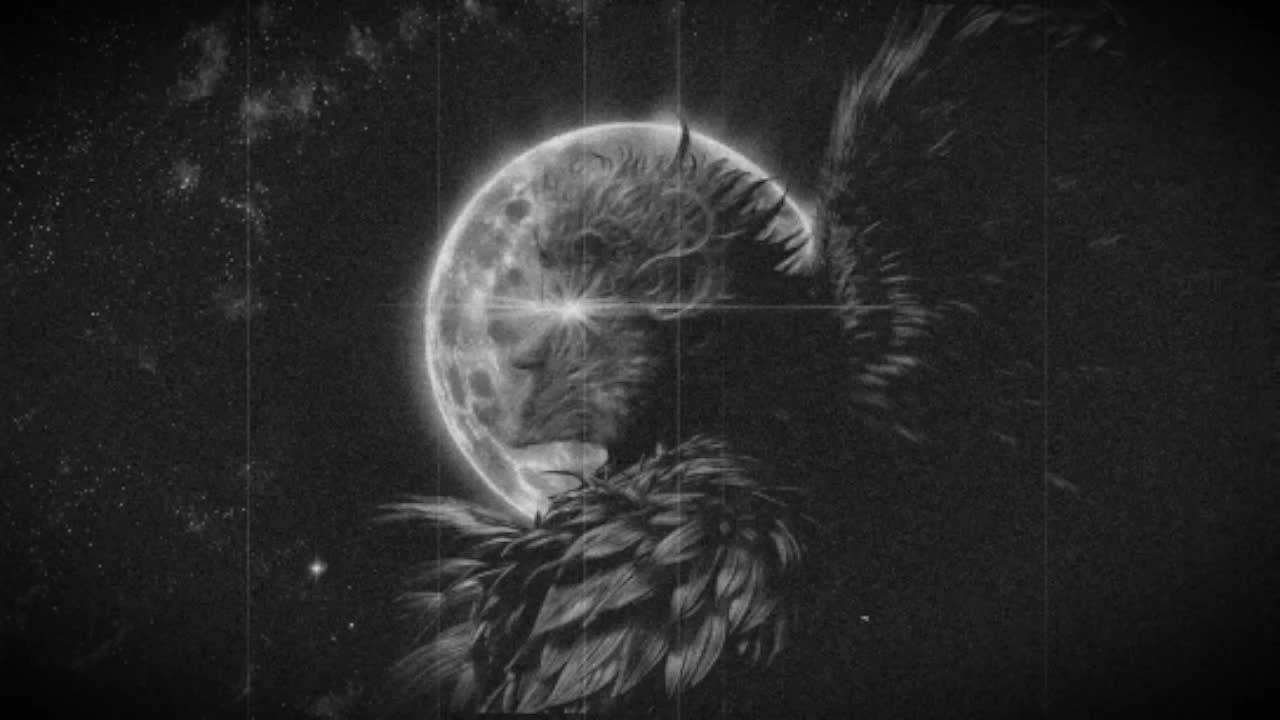 Кубок Джона Дауна 2025 (4)