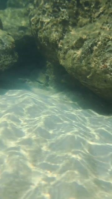 рыбки под водой