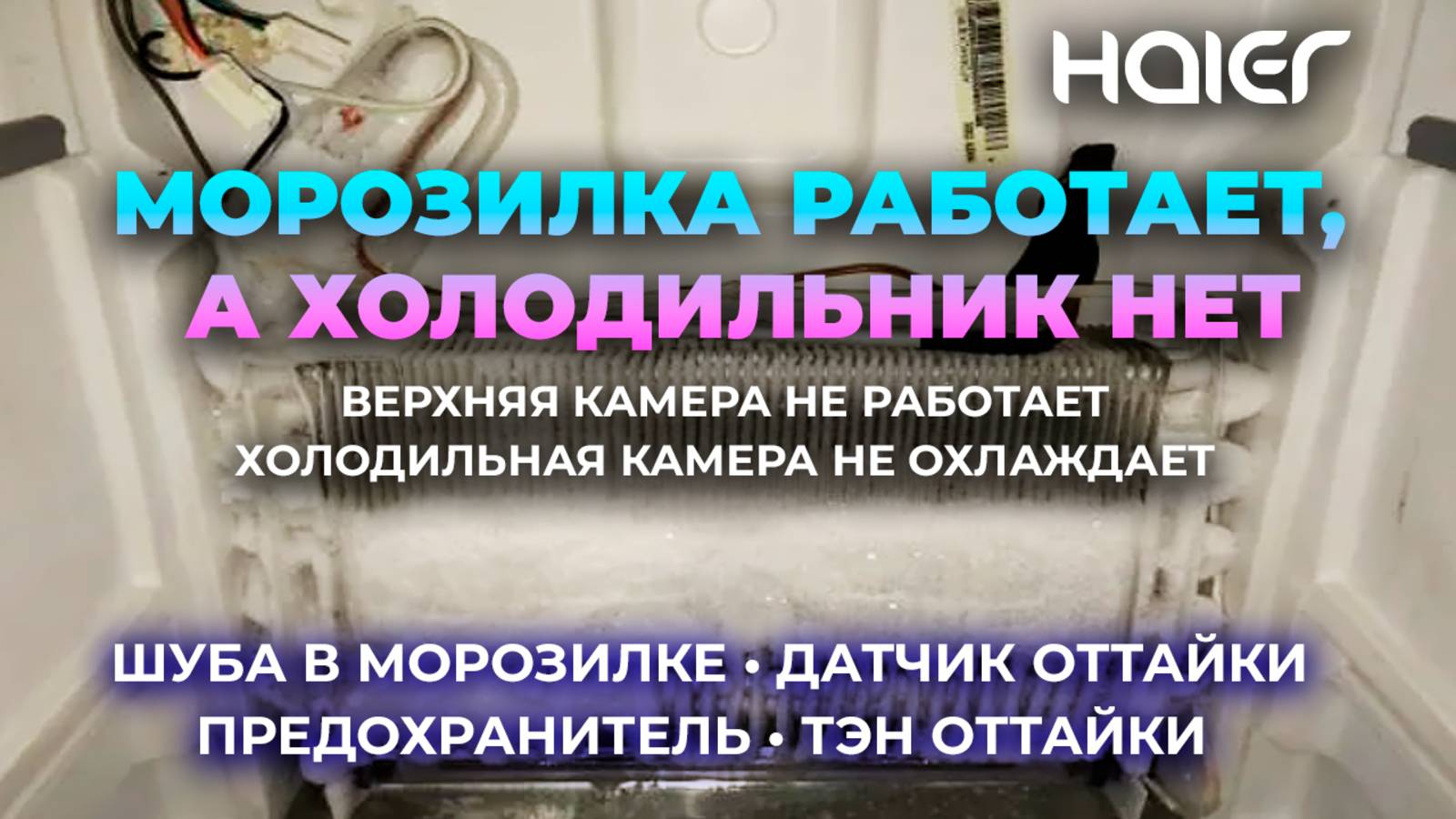 Не Работает Верхняя Камера Шуба и Лёд в Морозилке! Ремонт Оттайки Холодильника HAIER NO FROST