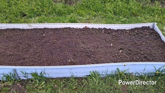 Культивировали, копали, сажаем