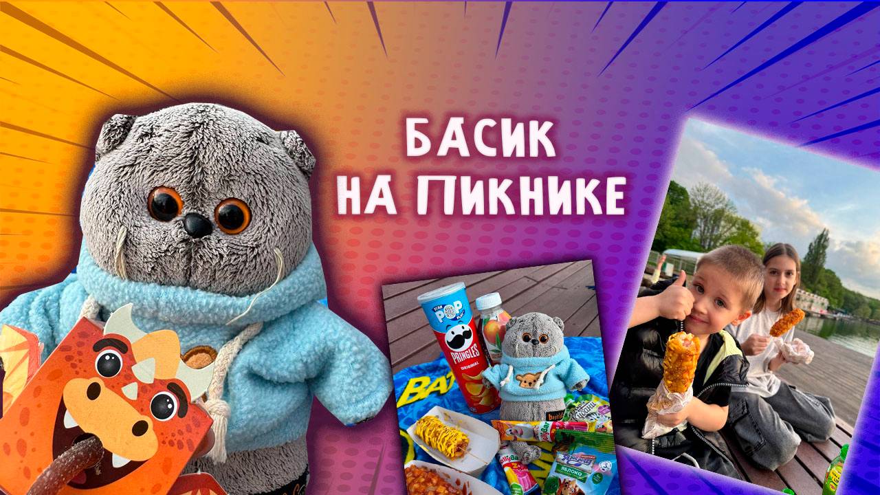 🌭🧃😋 БАСИК НА ПИКНИКЕ 😻😹  ВЫХОДНОЙ С БАСИКОМ #БАСИК #КОТИКБАСИК