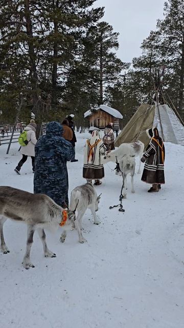 У Сопочиных Когалым