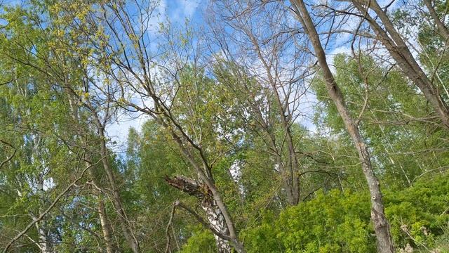 *Смеющаяся нечто* фильмы, ужасы, кино, фильм, смотреть онлайн, лучшие фильмы, новинки кино, зарубежн