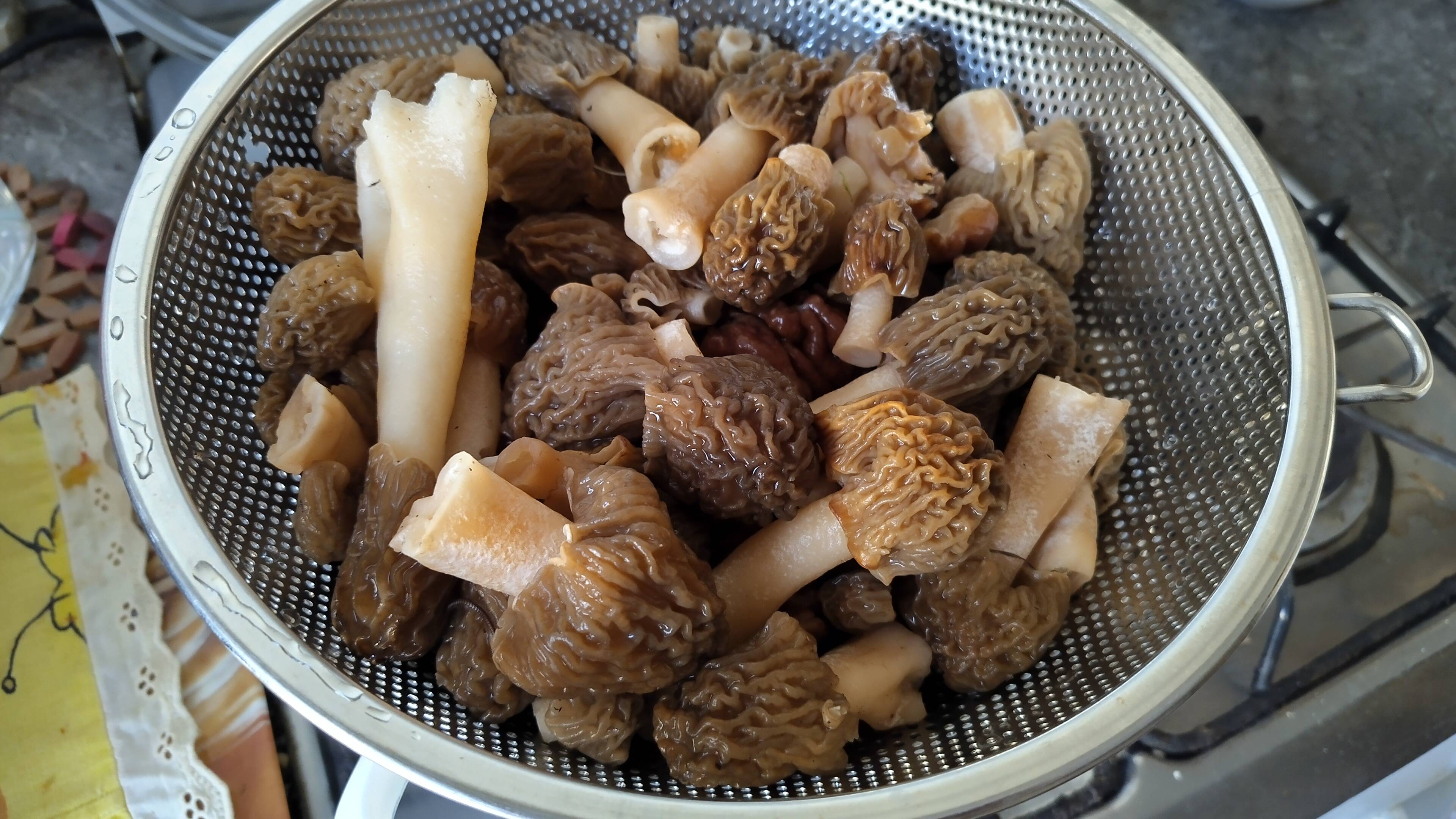 Весенние грибы в сливочном соусе с курицей