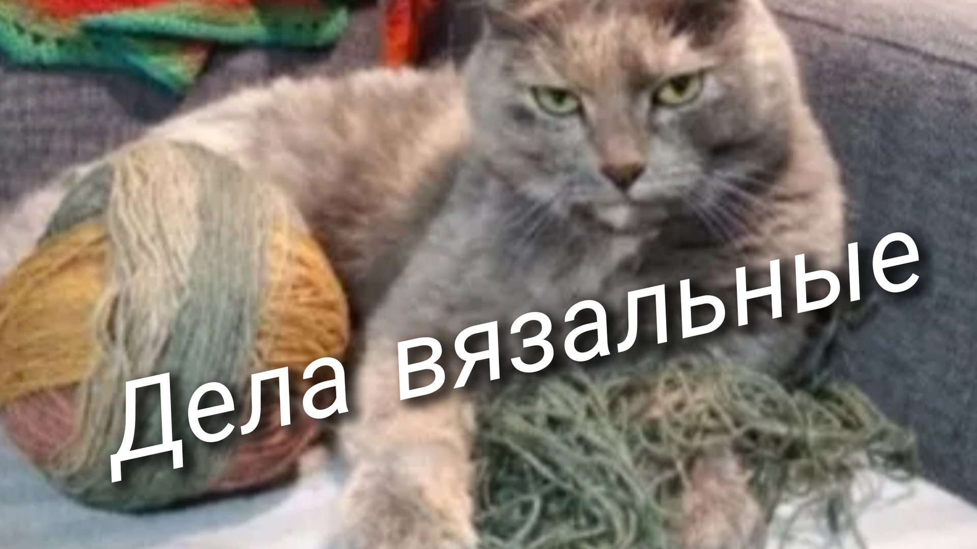 Новости из Мира вязания 🧶