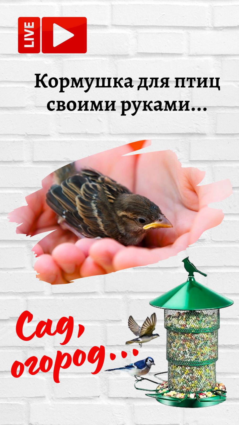 ✅ Кормушка для птиц своими руками...