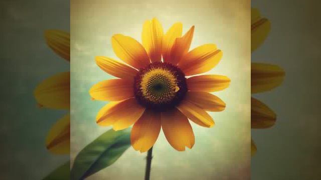 Лариса Рубальская — Может, я не умна, может, я не права (вар2)