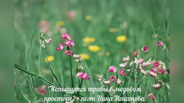 "Колышутся травы в медовом просторе" - поэт Нина Игнатова