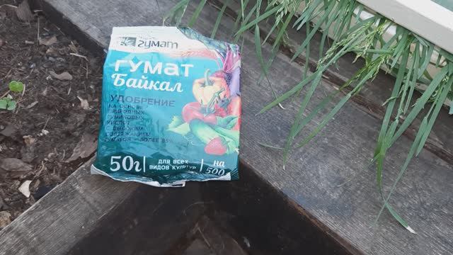 Калийная подкормка для томатов во время завязывания плодов.