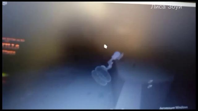 женщина вы куда? в Дубаи