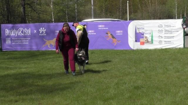 ПРК_Ольвал Дэнис Магнолия