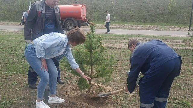 #538 В Сквере Волкова