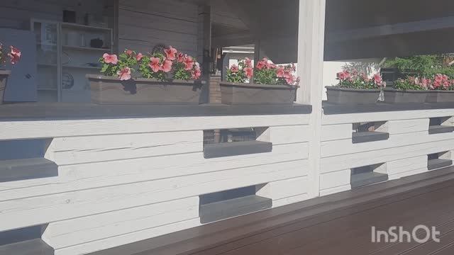 Однолетние цветы, которые украсят ваш дачный участок с июня по октябрь.