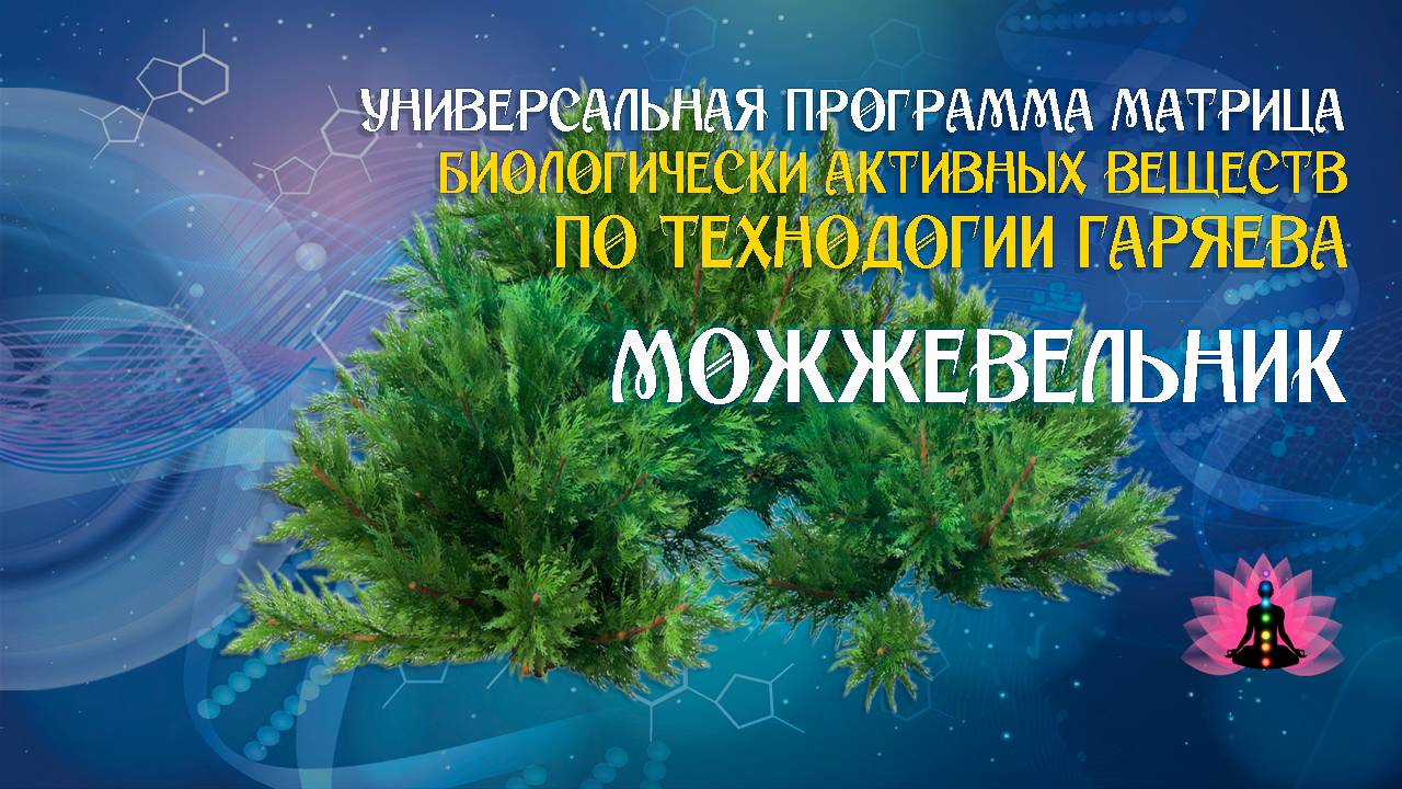 Можжевельник 🔊 программа матрица по технологии Гаряева П.П ☀️ SoftRadio.ru