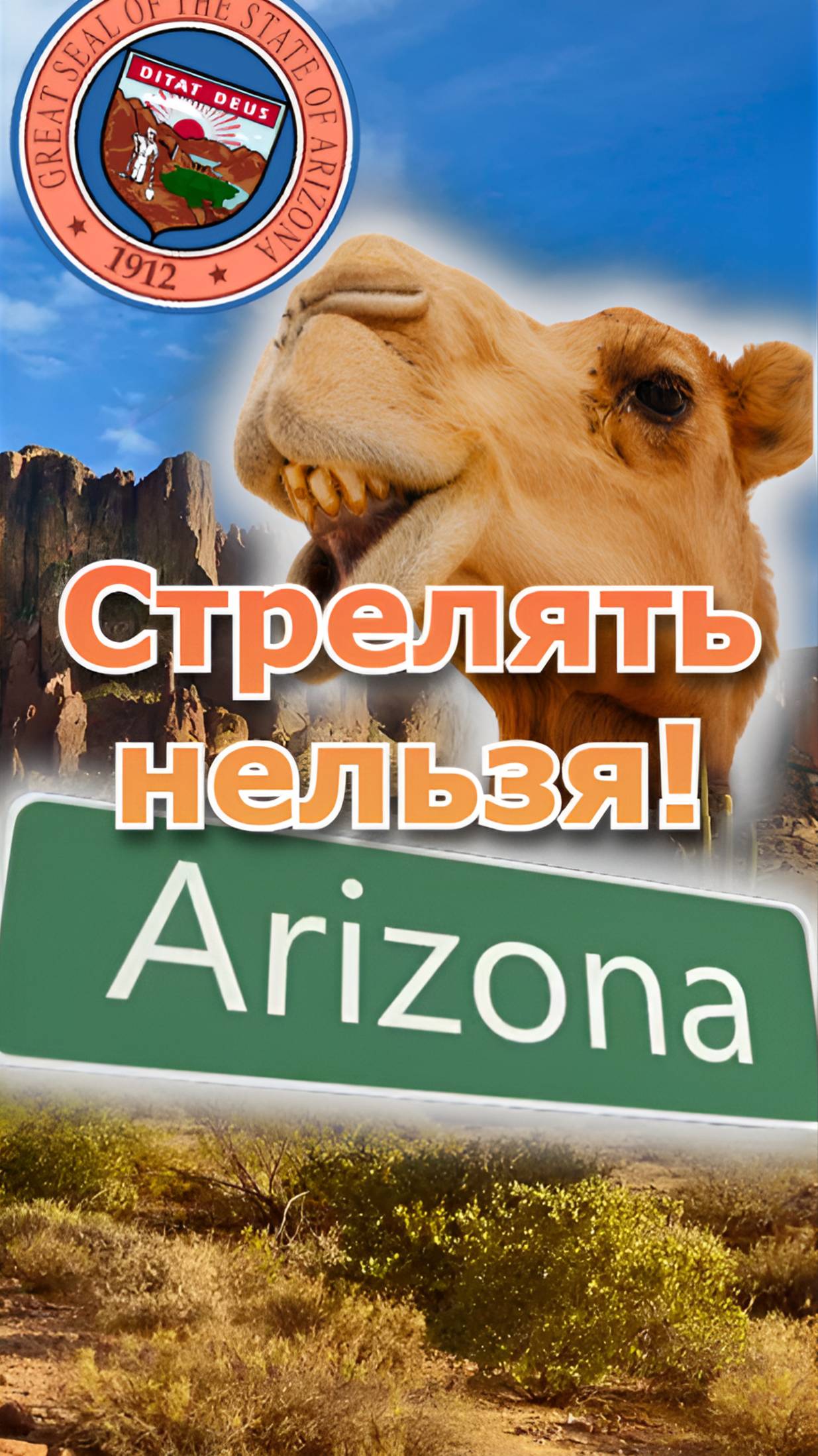 🔥 Почему в Аризоне верблюды важнее ковбоев?