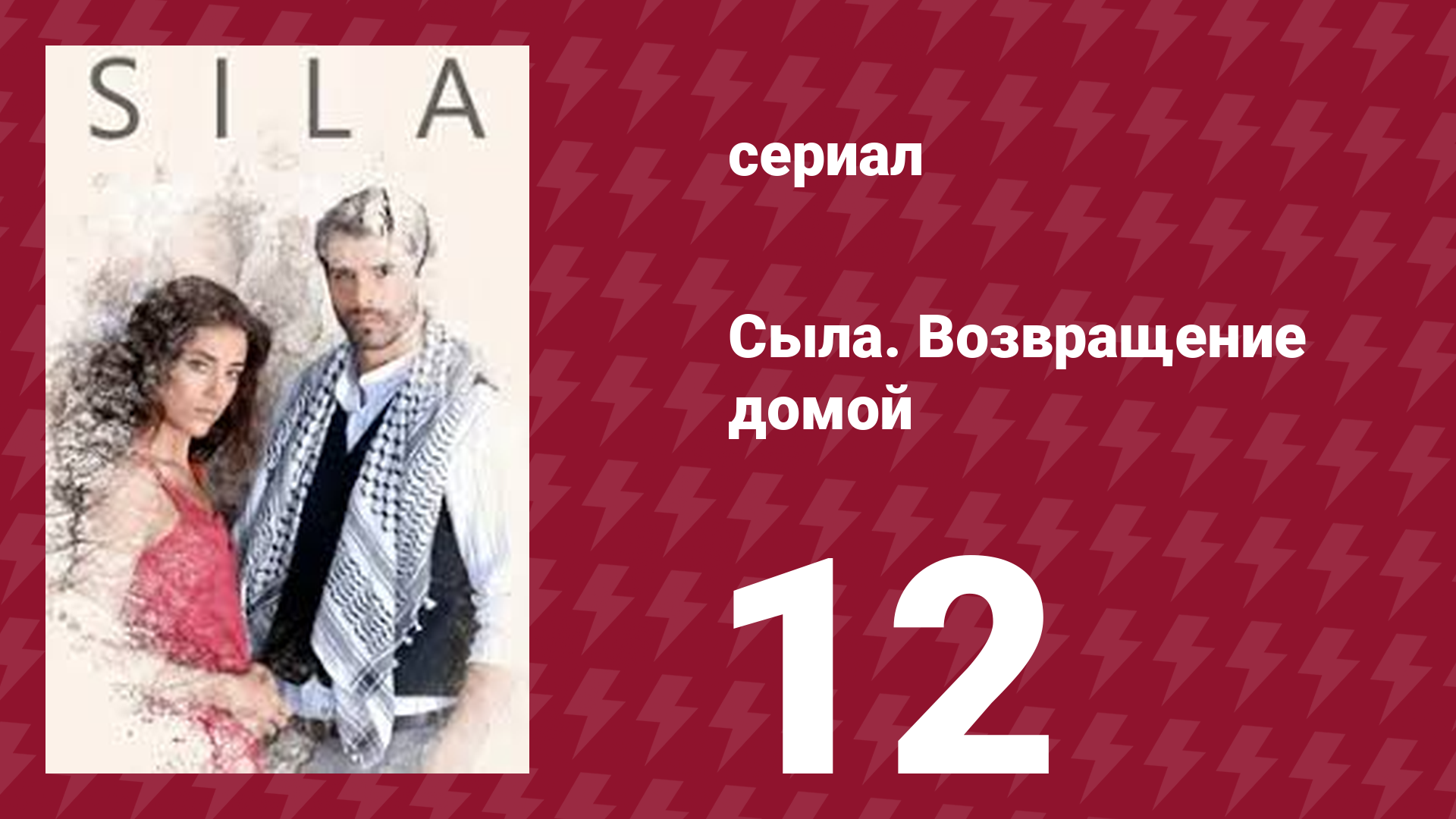 Сыла. Возвращение домой 12 серия (сериал, 2006)