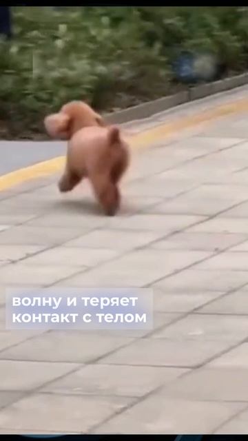 ЭНЕРДЖИМАКС — твое восстановление