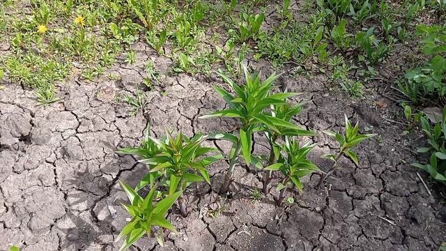 Кто хорошо работает, тот хорошо отдыхает!