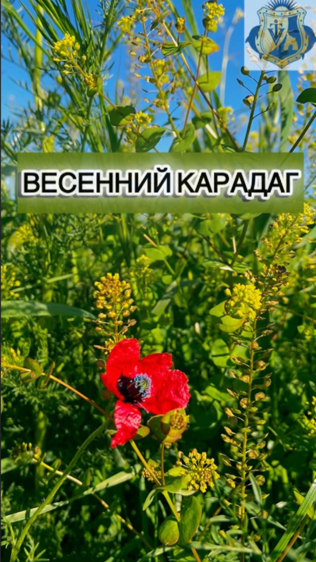 Карадаг весной