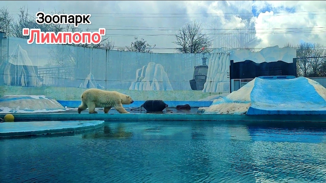 Нижегородский зоопарк "Лимпопо". Часть 14