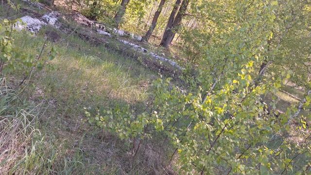 *ВСТРЕЧА* фильмы, ужасы, кино, фильм, смотреть онлайн, лучшие фильмы, новинки кино, зарубежные фильм