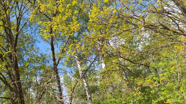 *КАК Я СТОРОЖИЛ ОФИС* фильмы, ужасы, кино, фильм, смотреть онлайн, лучшие фильмы, новинки кино, зару