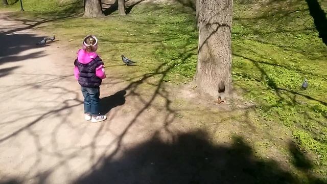 Аня кормит белочку. 7 мая 2016