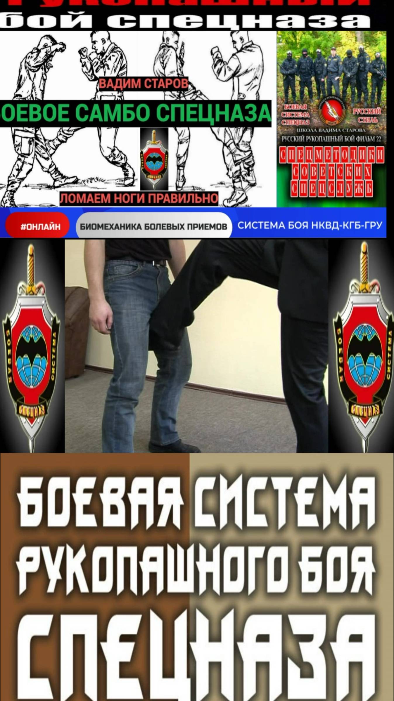 Система боя НКВД-КГБ. Биомеханика шокирующих воздействий. Вадим Старов рукопашный бой Спецназа