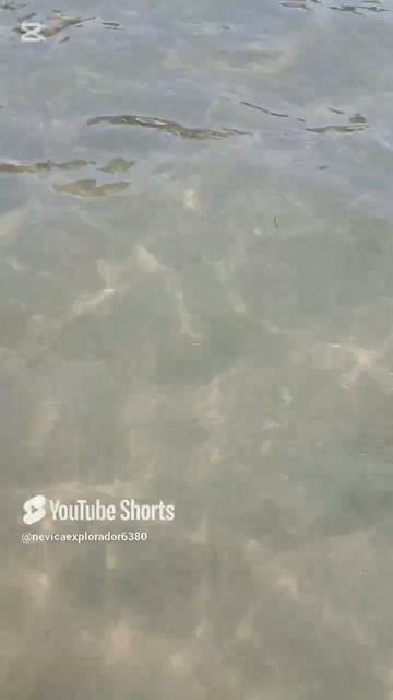 Вода чистая и комфортная. Волны только у берега. хой ан. вьетнам