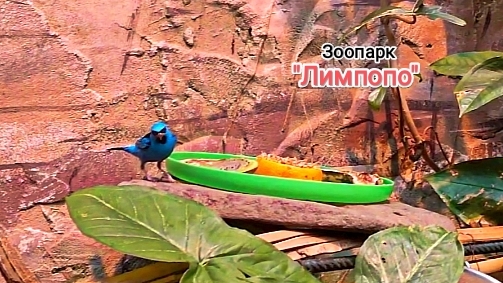 Нижегородский зоопарк "Лимпопо". Часть 10