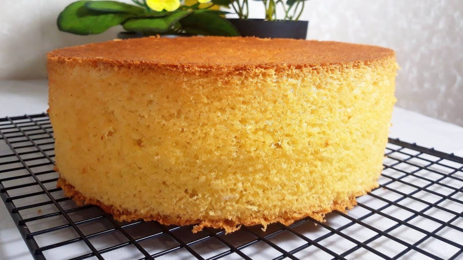 🍰💯 Рецепт - ВОЗДУШНОГО БИСКВИТА🍰💯