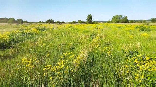 ✨Как красива природа Пермского края!