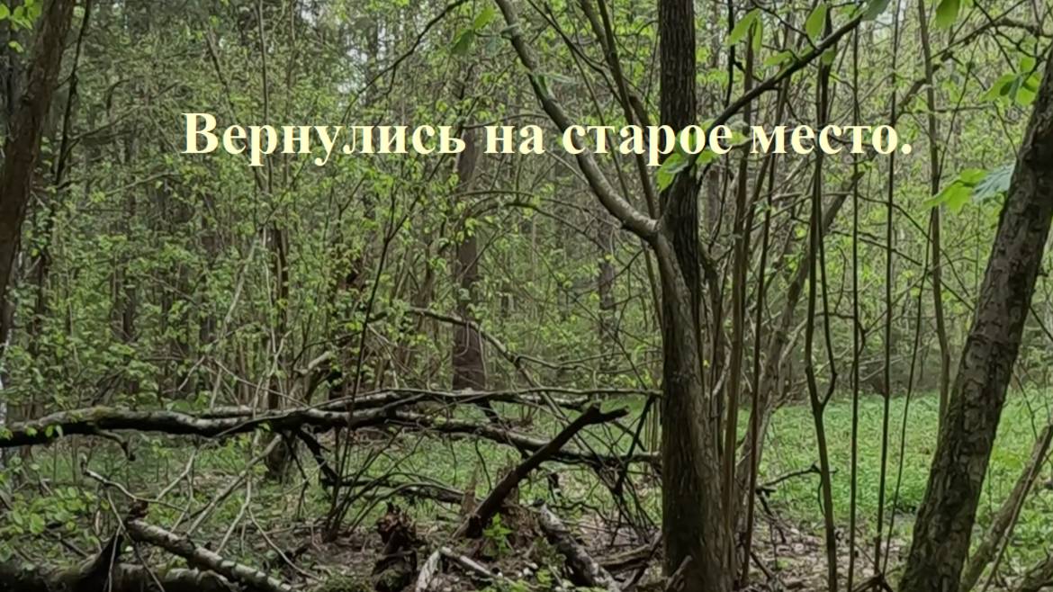 Вернулись на старые места.