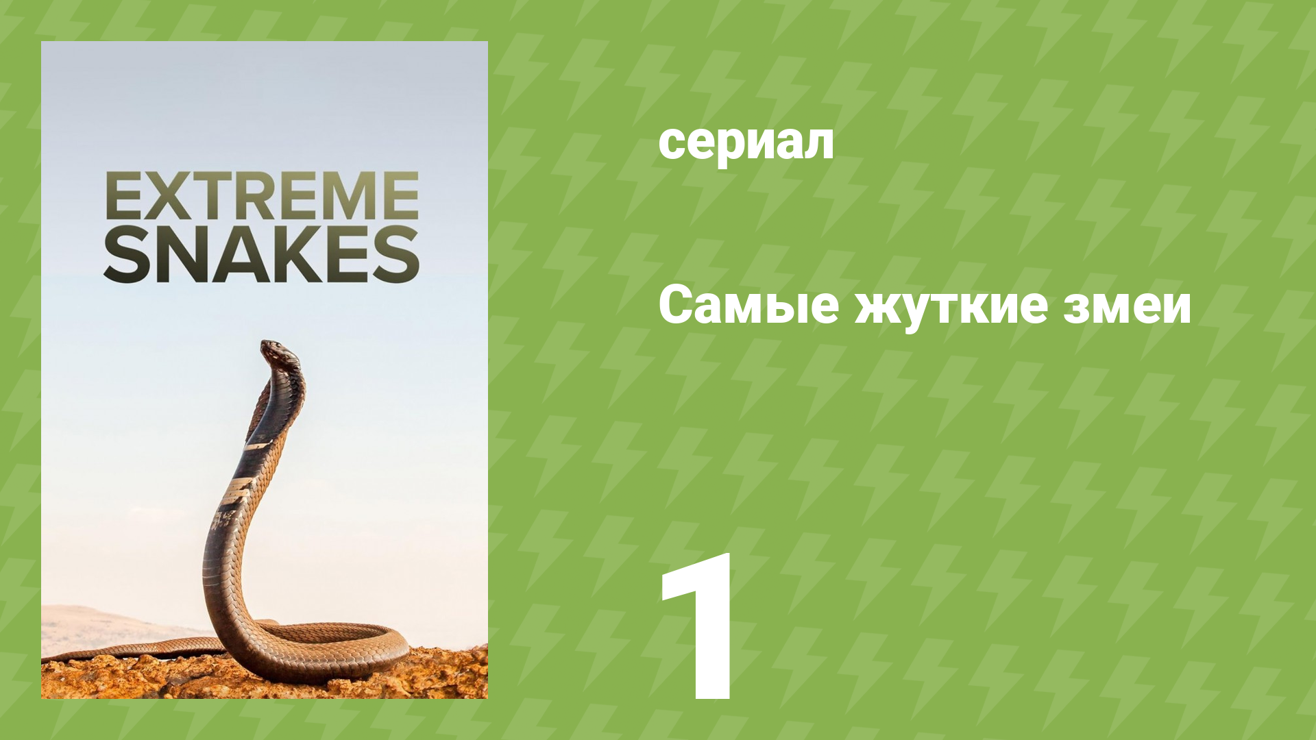 Самые жуткие змеи 1 серия «Австралия» (документальный сериал, 2023)