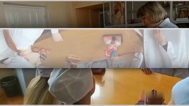 Лечебное дело (фельдшер)